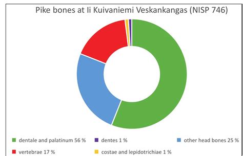 Bones Other Than Vertebrae The Articular Surfaces Of An
