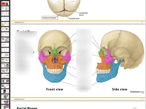 Chapter 7 Lab Diagram Quizlet