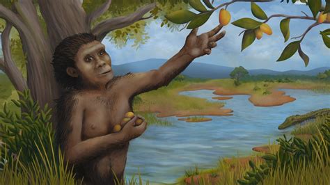 We Now Know Much More About How Our Ancestor Lucy Lived — And Died Live Science