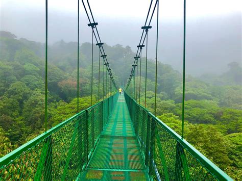 Visit The Monteverde Cloud Forest Biological Reserve Visit Costa Rica