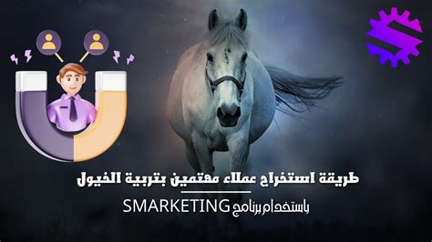 طريقة استخراج عملاء مهتمين بتربية الخيول باستخدام برنامج Smarketing Youtube
