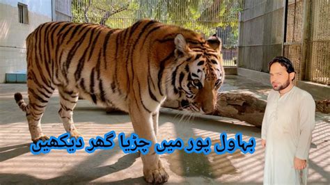 بہاولپور چڑیا گھر کی ویڈیو دیکھیں🦋🐦 Youtube