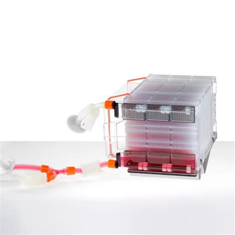 New Pricing And Increased Availability Hyperstack Cell Culture