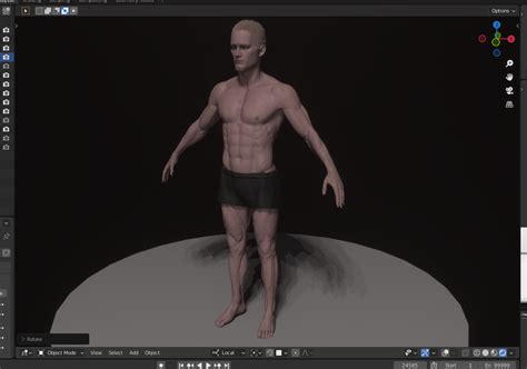 Male Base Model Hive