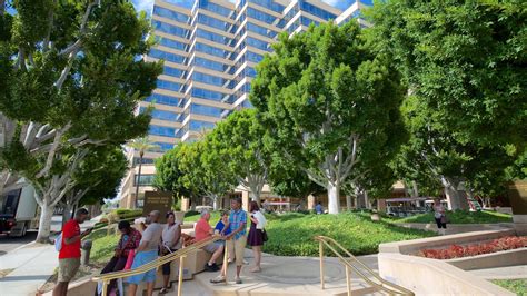 Burbank Ca Vacation Rentals House Rentals And More Vrbo