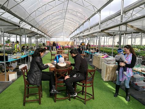 ‫ben Ben Nursery משתלת בן בן Home Facebook‬