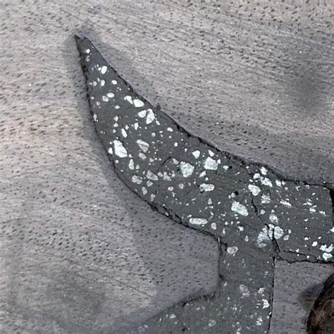 Trim Decos Insert Tile Backsplash Tile Ceramic Size 9x25 Inches