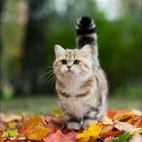 Stream Three Vampire Sistersppg Music Listen To Songs Albums Playlists For Free On Soundcloud