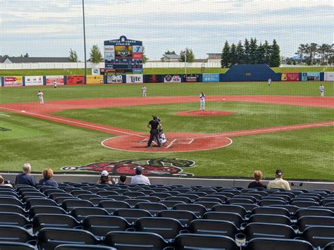 Matthew Doyle The Pit Spitters Have Found A Groove With