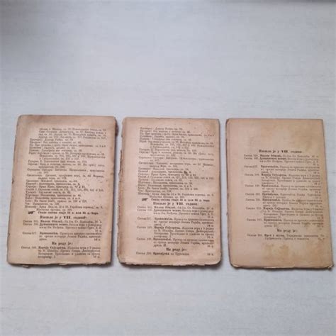 Jovan Rajić Brankovići Iiiiv Rijetko