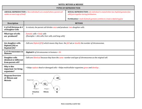 The Mitosis Notes Notes Mitosis And Meiosis Types Of Reproduction