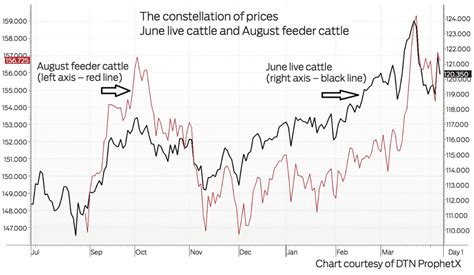 Live Cattle Futures Contract At Jason Lindstrom Blog