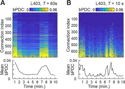 Example Connectivity Dynamics Download Scientific Diagram