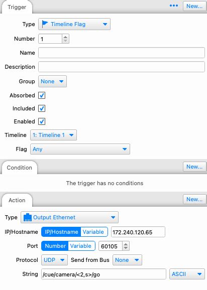 Access Flag Properties Using Trigger Variables In Designer 2 — Pharos
