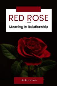 Red Roses And Their Deep Meaning In Love And Relationships Plantisima