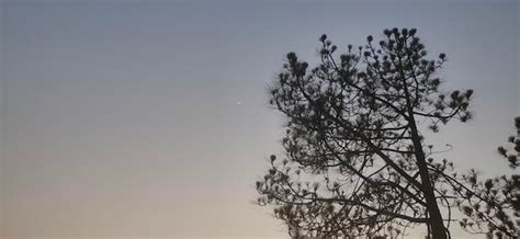 Premium Photo A Small White Object In The Sky Is A Small Object In