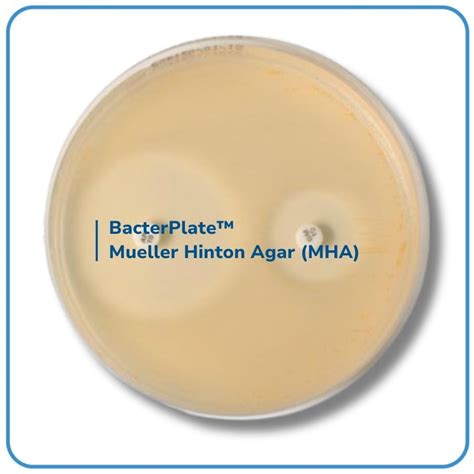 Bacterplate™ Mueller Hinton Agar Mha Bacterlab