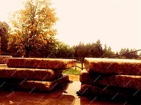 Premium Photo Stack Of Tree Stump