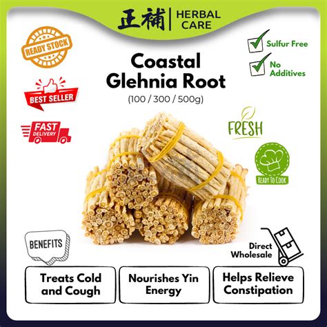 Coastal Glehnia Root Sha Shen 北沙参节 100g 300g 500g Herbal Care