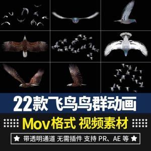 22款飞鸟鸟群动画视频素材视频素材沙雕动画素材网