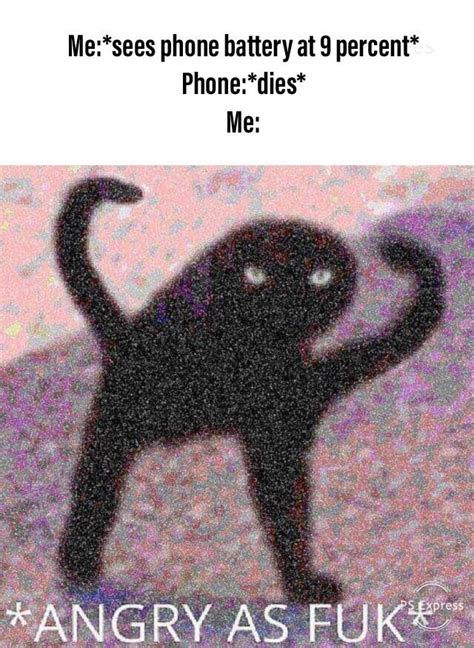 Y U Do Dis Rmemes Y U Do Dis Rmemes