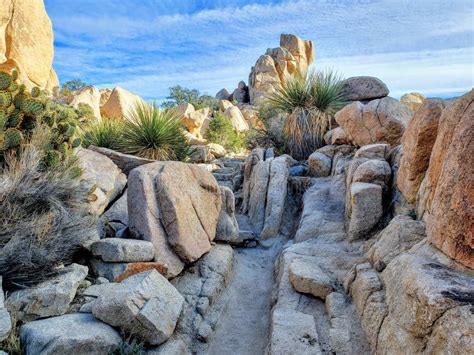 Monzogranite Rock Formations Along The Hidden Valley Hiking Trail At
