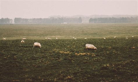 Seeing Jesus In All Of Scripture Our Perfect Passover Lamb The Daily