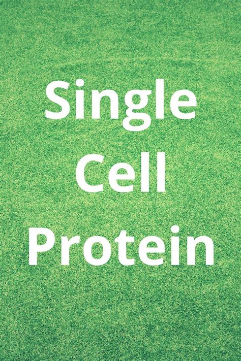 Single Cell Protein Protein Cell General Knowledge