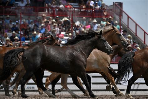 Photos 2024 Cheyenne Frontier Days Sunday Rodeo