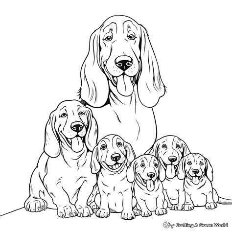 Basset Hound Coloring Pages Free And Printable