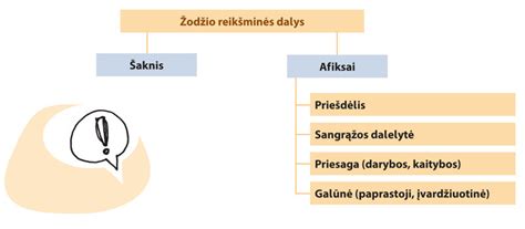 Žodžių Daryba Ir Formų Daryba Opiq