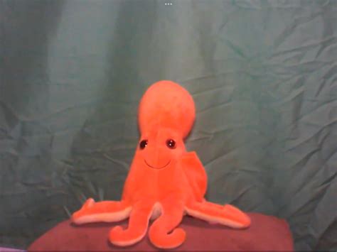 Potion Sprayed Mini Plurpdo Dancing Llama Wiki Fandom