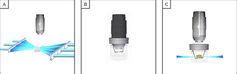 Figure 1 From Light Sheet Fluorescence Microscopy Combined With Optical