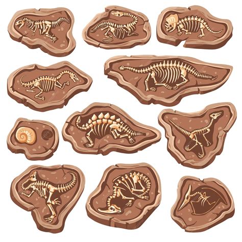 Premium Vector Dinosaur Bones Fossils Reptile Fossil In Ground Stone