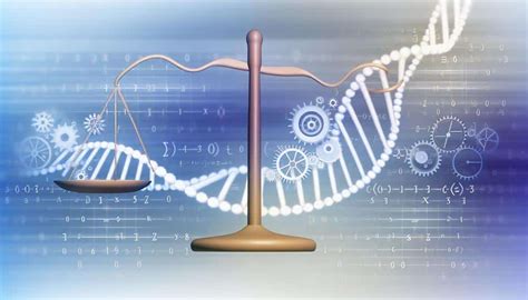 Why Are Genetic Algorithm Optimization Techniques Effective Blog Algorithm Examples