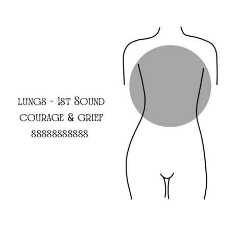 Dont Regulate Resonate Nervous System Resonance Chinese Medicine Meets Modern Neuroscience