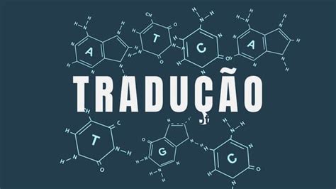 Genetics Basic Concepts Presentation In Colorful Ilustrative Style Pdf