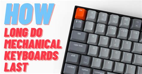 How To Remove Spacebar On A Keyboard 3 Simple Steps