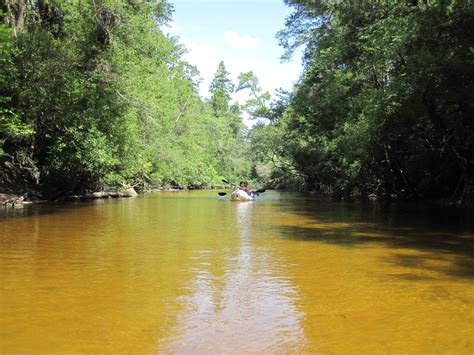 Canoeing At Blackwater River State Park Holt Florida Blackwater