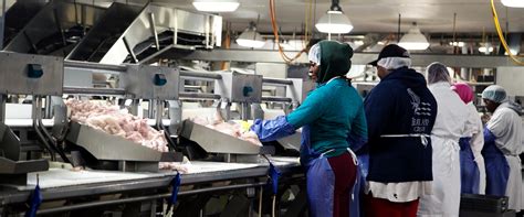 Heartland Catfish A Healthy And Sustainable Food Source