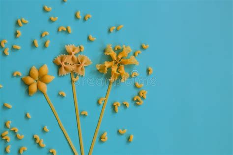 Pasta Of Different Varieties And Sizes Layouts Of Pasta Stock Image