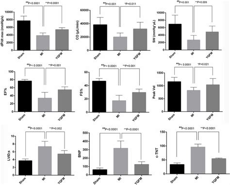 Cardiac Function Evaluation With Echocardiography Detection N 10