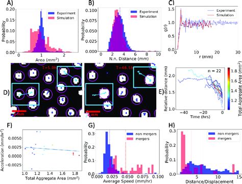 Computational Model Spatial Structure And Merging A D Spatial Download Scientific Diagram