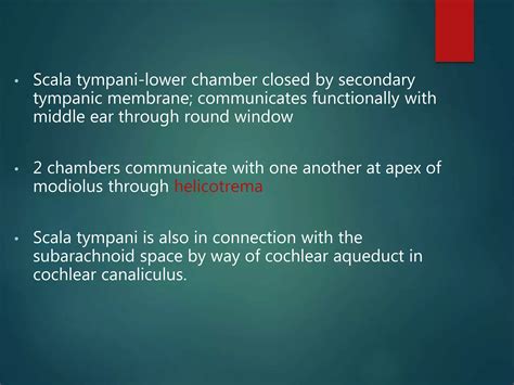Anatomy Of The Inner Ear Ppt