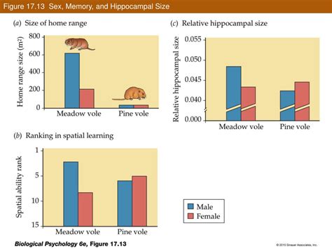 Ppt Part 6 Opener Simultaneous Registration Maps Of Eeg And