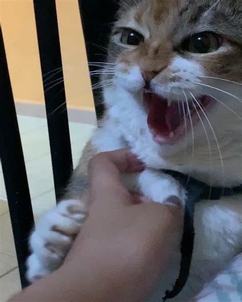 Isabel Ramirez Isabel Rmrz • Instagram Photos And Videos