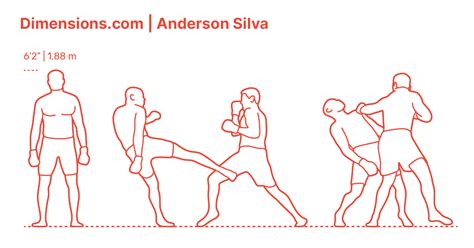 Ufc Octagon Dimensions And Drawings
