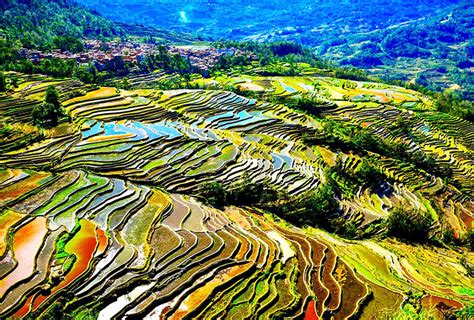Yuanyang Tour Best Yunnan China Rice Terraces Tours