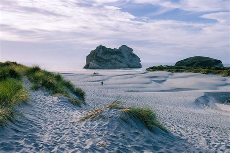 Wharariki Beach New Zealand Your Guide To Hidden Beach Paradise