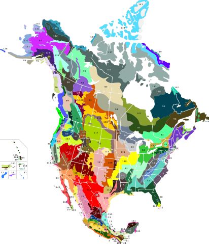 Fileterrestrial Ecoregions Usa Can Mexsvg Wikimedia Commons